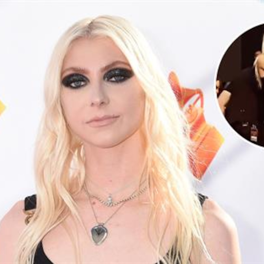 Taylor Momsen Shares Terrifying Moment She Was Bitten By Bat During Concert